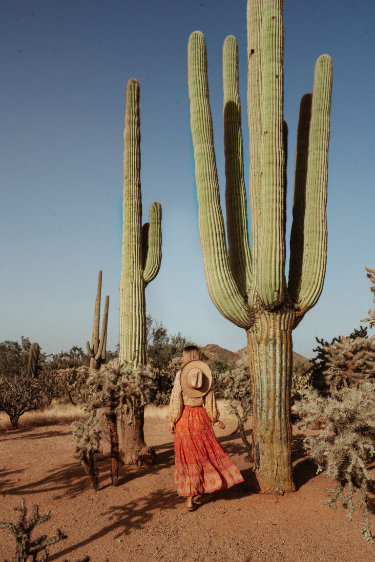 Visiting Saguaro National Park and Tucson, Arizona - saltyluxe.com