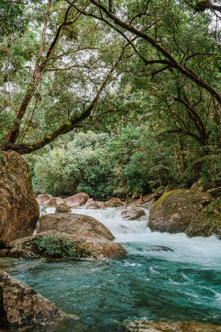 Tropical North Queensland Travel Guide: Daintree Rainforest to The ...