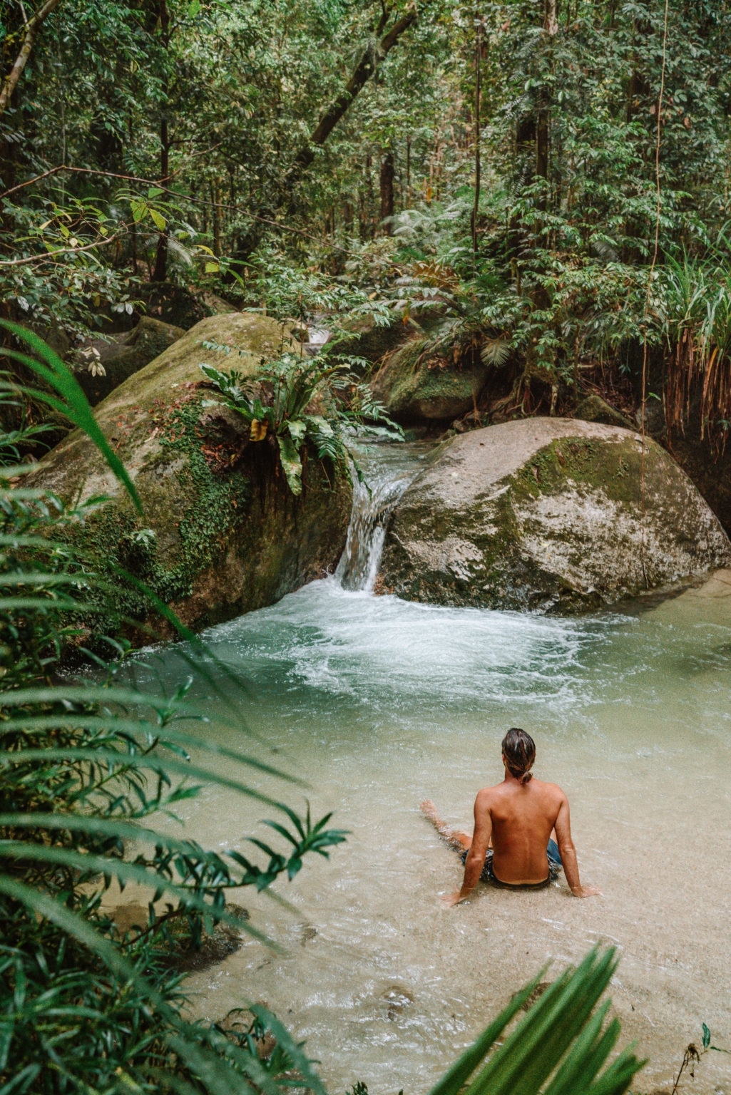 Tropical North Queensland Travel Guide: Daintree Rainforest to The ...