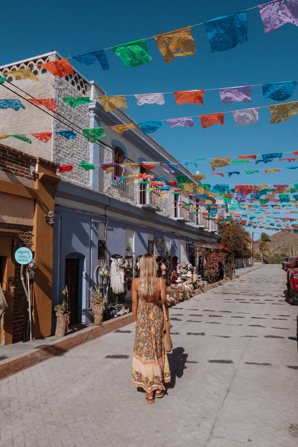 Best things to do in Todos Santos, Baja California Sur - saltyluxe.com